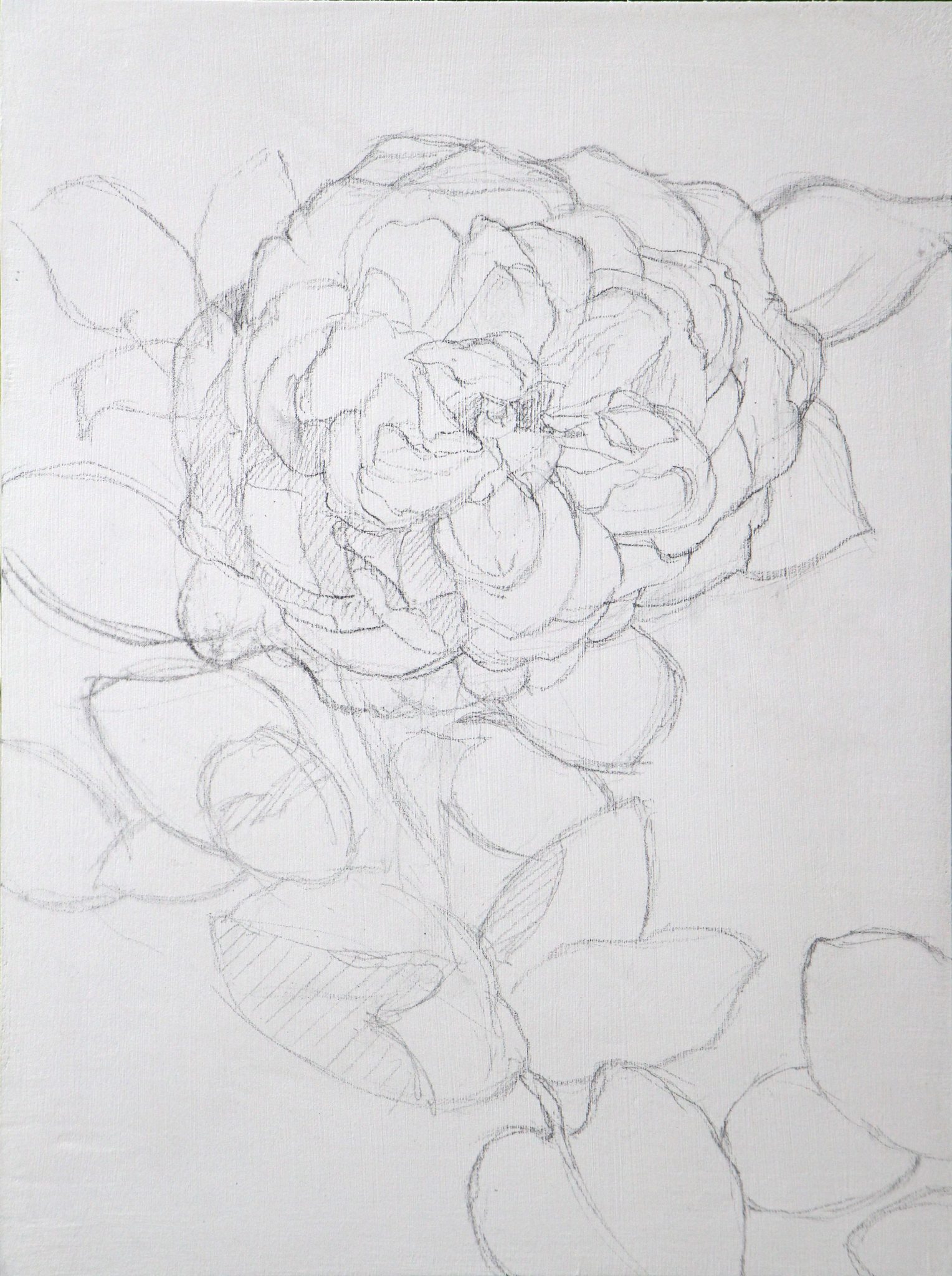 Painting tutorial: step-by-step process of painting raindrops on roses
