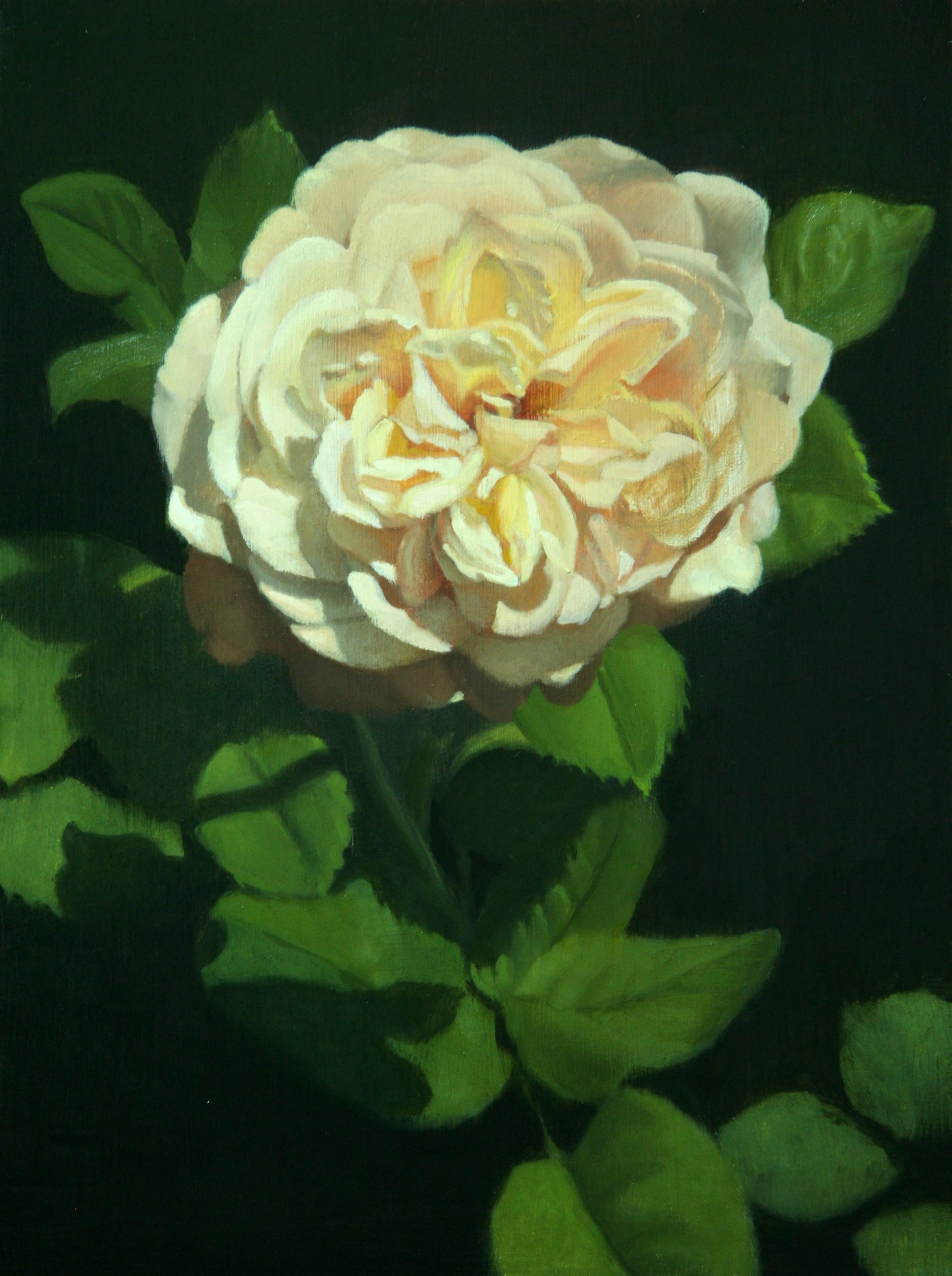 Painting tutorial: step-by-step process of painting raindrops on roses