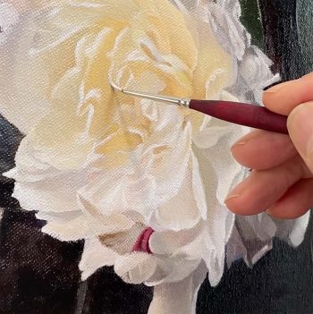 Step-by-step oil painting of a Peony